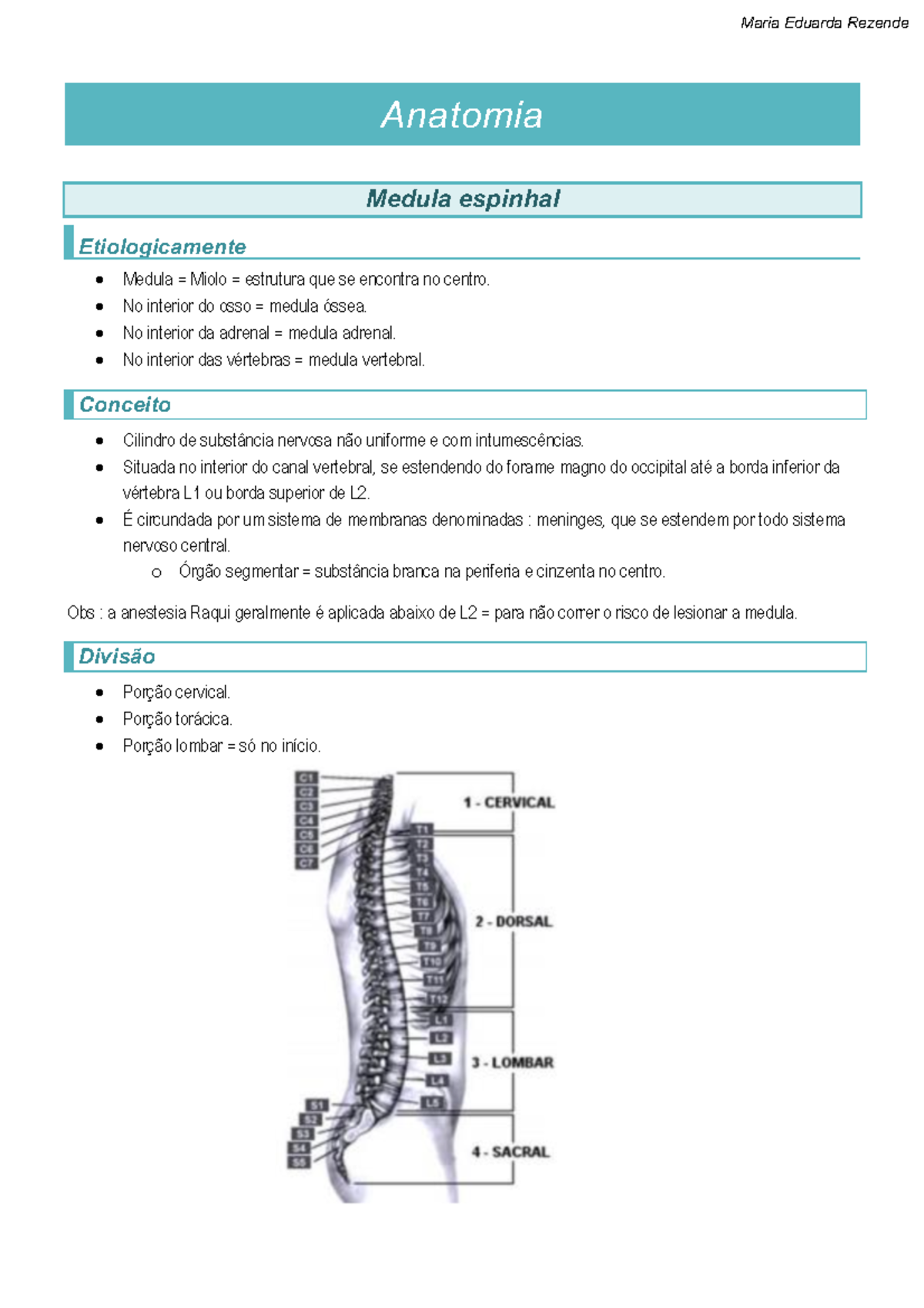 Anatomia - medula espinhal - Anatomia Medula espinhal Etiologicamente ...
