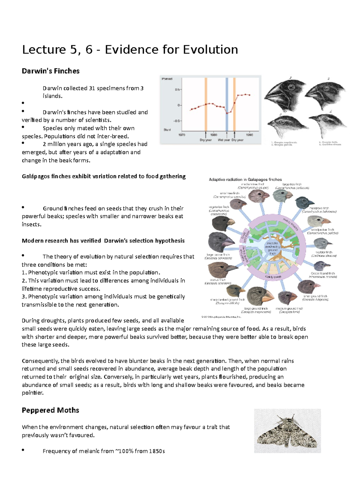 Lecture 5,6 - Lecture 5, 6 - Evidence for Evolution Darwin's Finches ...