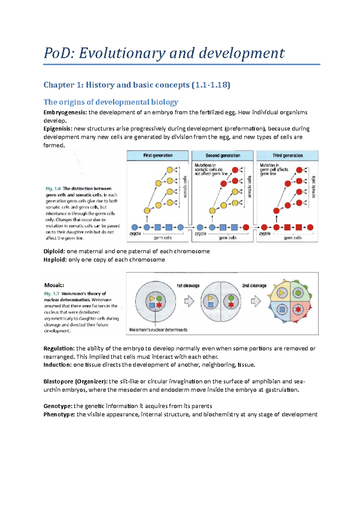 Po D Summary Evolutionary and development - PoD: Evolutionary and ...