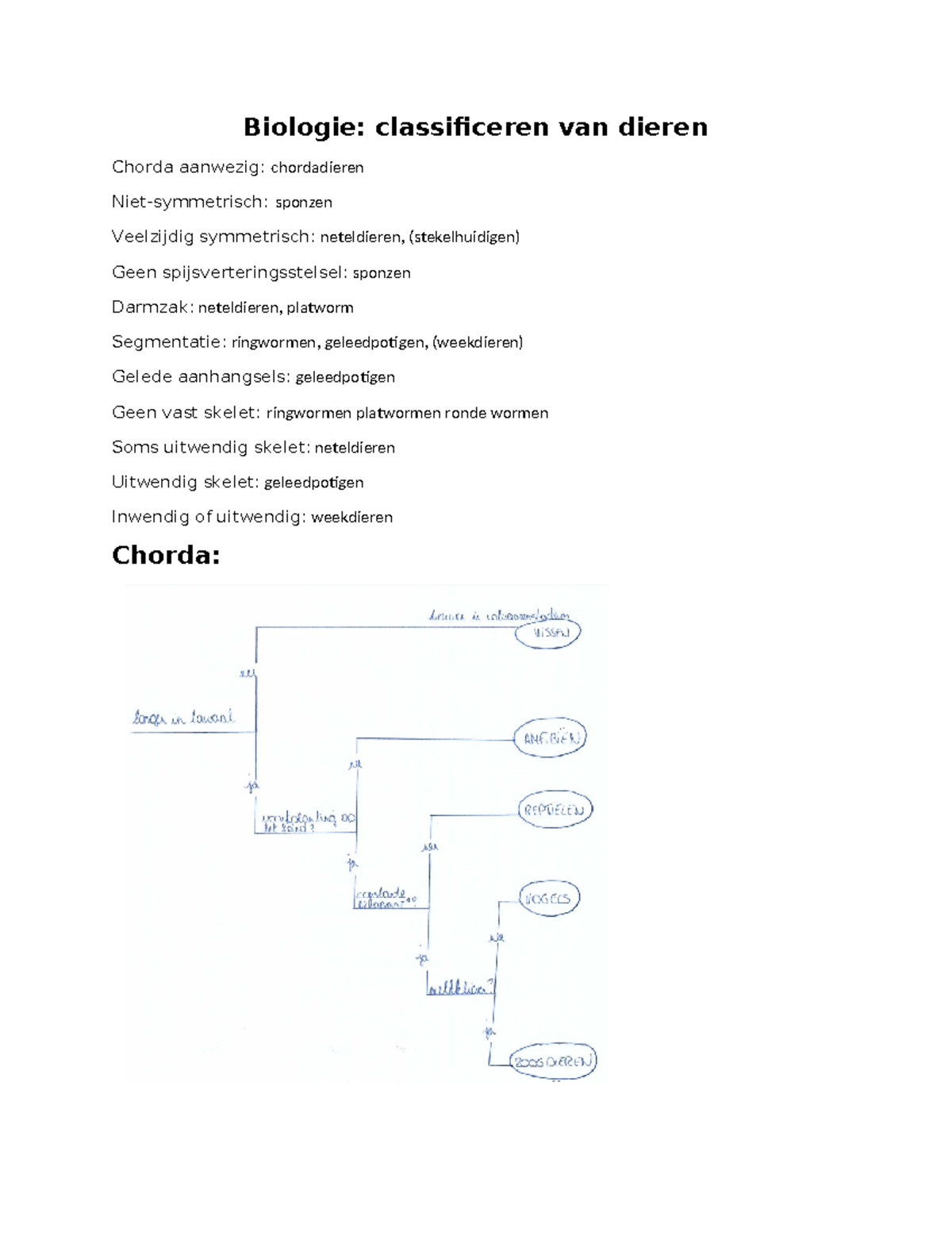 Classificeren van dieren - Biologie: classificeren van dieren Chorda ...