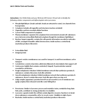 Chp 3 Anatomy notes - Chapter 3: Cellular Form & Function Flow Down ...