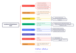 Surgical-ho-guide 1 - Easy note for housemanship - THE SURGICAL GUIDE ...