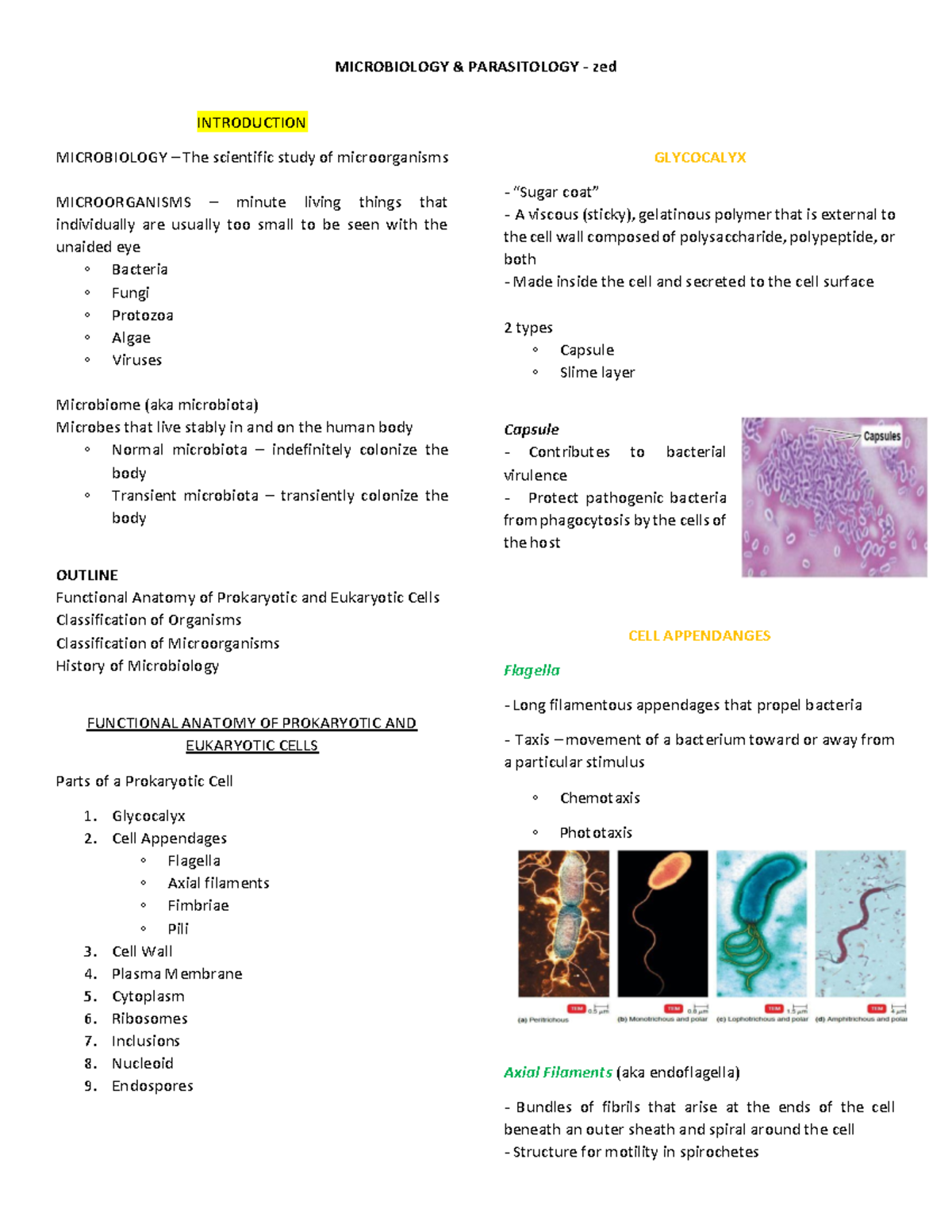 Microbiology reviewer - INTRODUCTION MICROBIOLOGY – The scientific ...