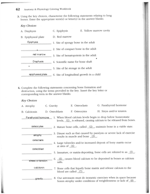 2.02 Skeletal System - Class Notes - Skeletal System Guided Notes The ...