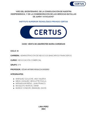 AA2 Control Y Auditoria - INSTITUTO SUPERIOR CERTUS CONTROL Y AUDITORÍA ...