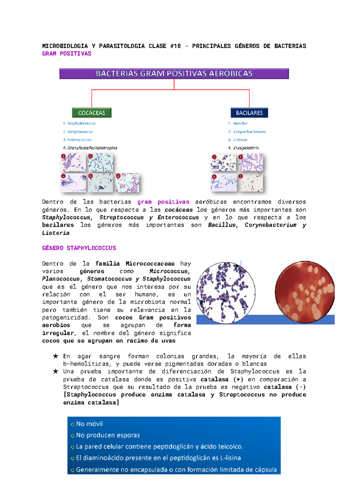Clase 10 Principales Generos DE Bacterias GRAM Positivas ...