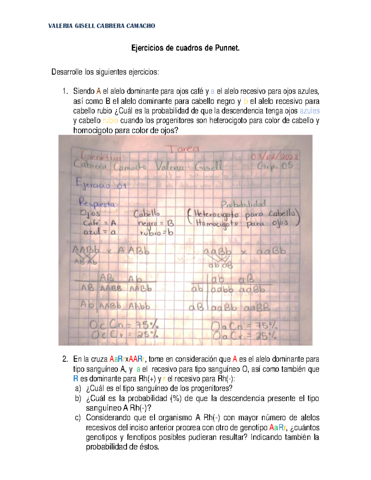 VGCC Ej Punnet - Tarea - VALERIA GISELL CABRERA CAMACHO Ejercicios de cuadros de Punnet ...