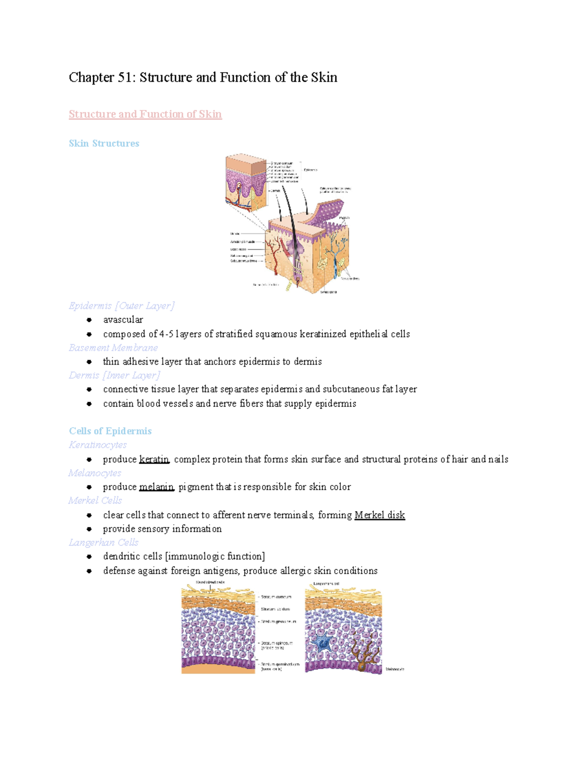 Chapter 51 and 52 Disorders of Skin Integrity and Function - Chapter 51 ...