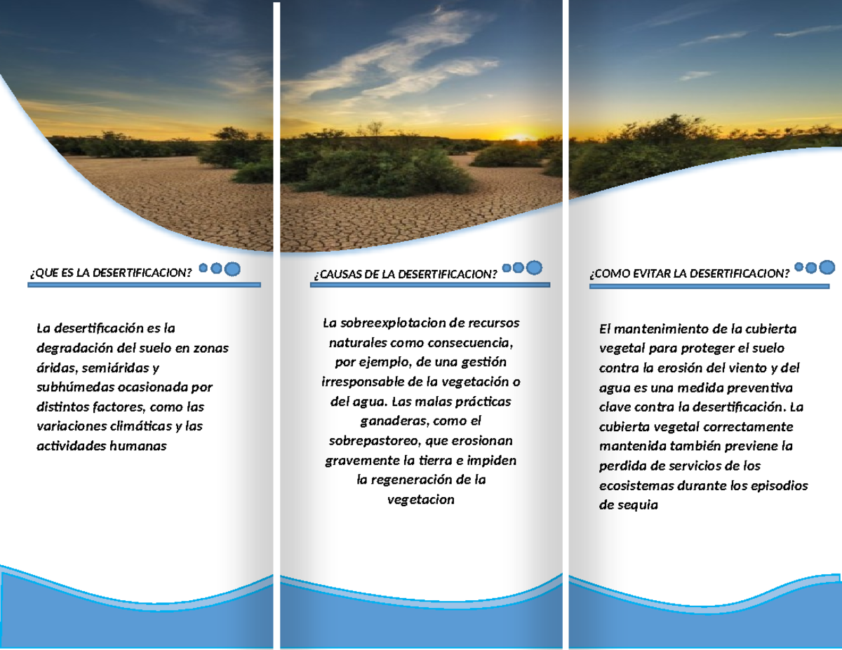 Plegable - Resumen Electiva cmd - ¿QUE ES LA DESERTIFICACION? ¿QUE ES LA DESERTIFICACION? ¿QUE ...