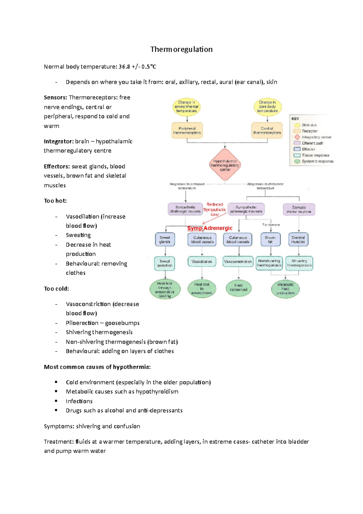 Thermoregulation - Thermoregulation Normal body temperature: 36 +/- 0°C ...