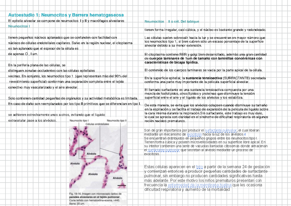 Histología de Neumocitos, Barrera hematogaseosa, pancreas e hígado ...