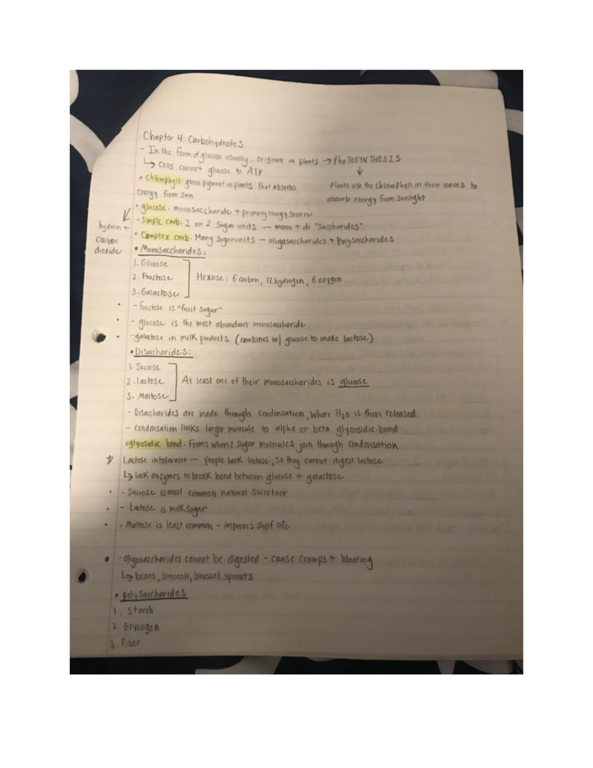 NTD 303 Chapter 4 Notes - NTD 303 - Studocu