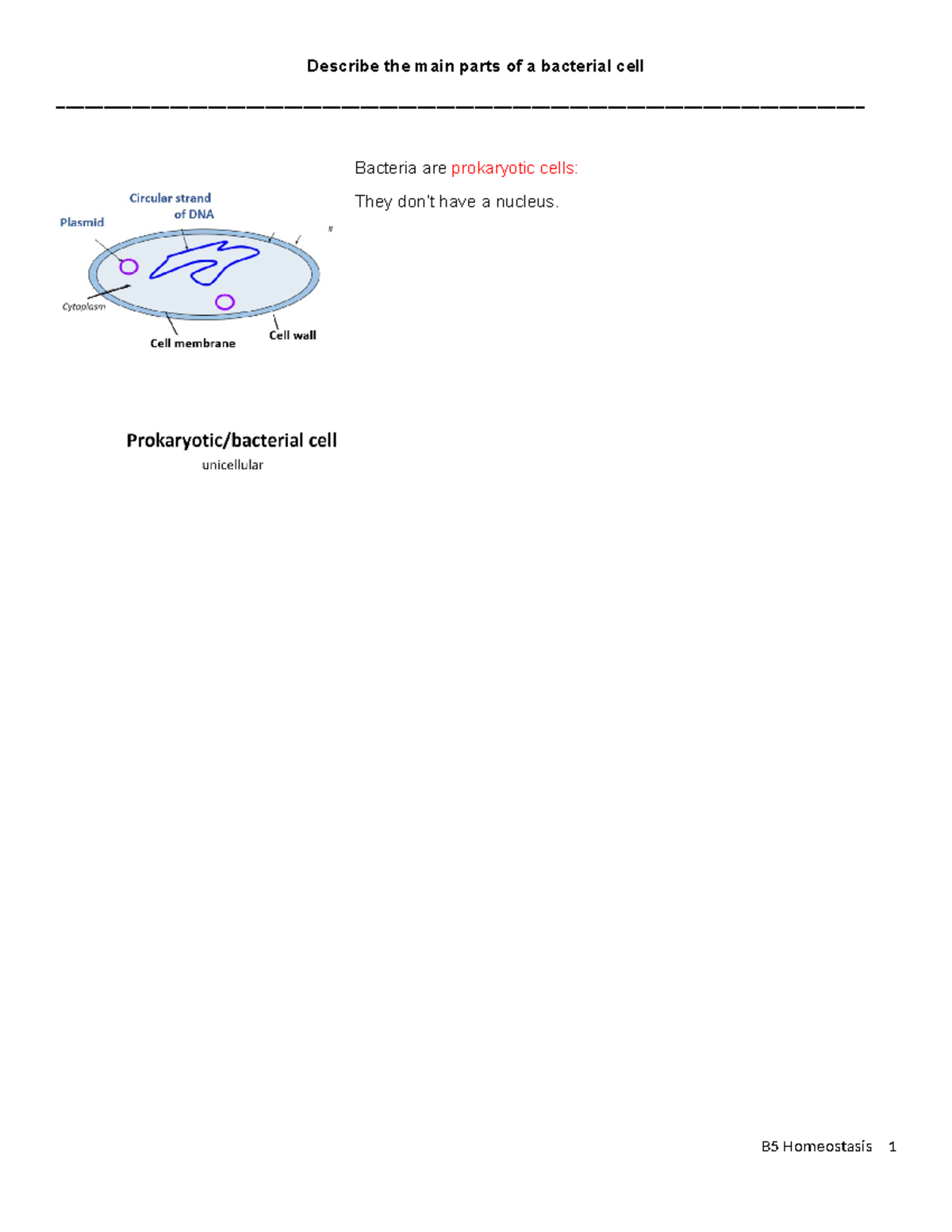 B5 Homeostasis-cards - Describe the main parts of a bacterial cell Bacteria are prokaryotic ...