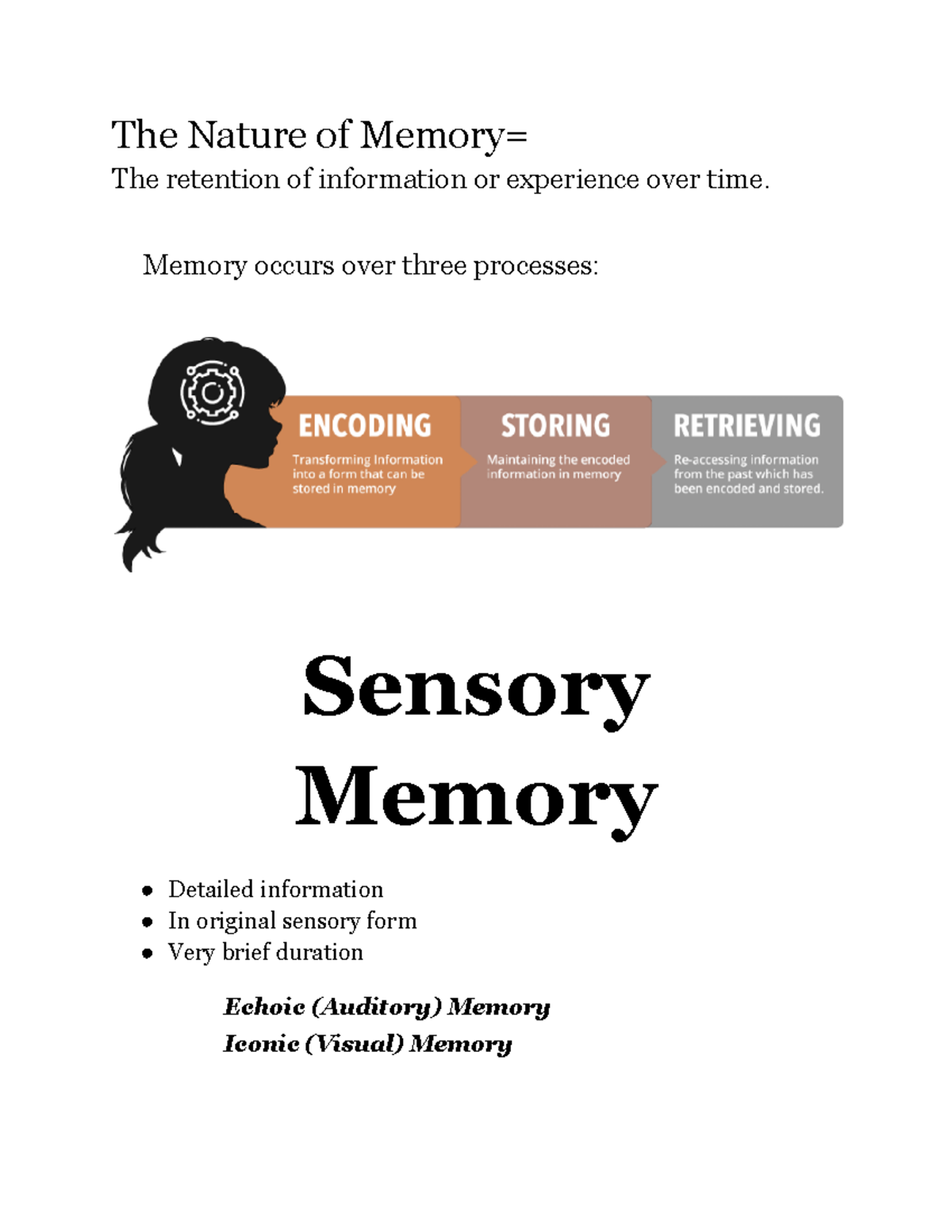 Psych Chapter 7 - The Nature of Memory= The retention of information or ...