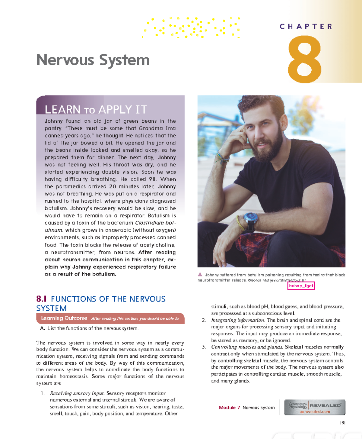 Chapter 8 [ Nervous System anaphy] - 191 C H A P T E R Nervous System 8 ...