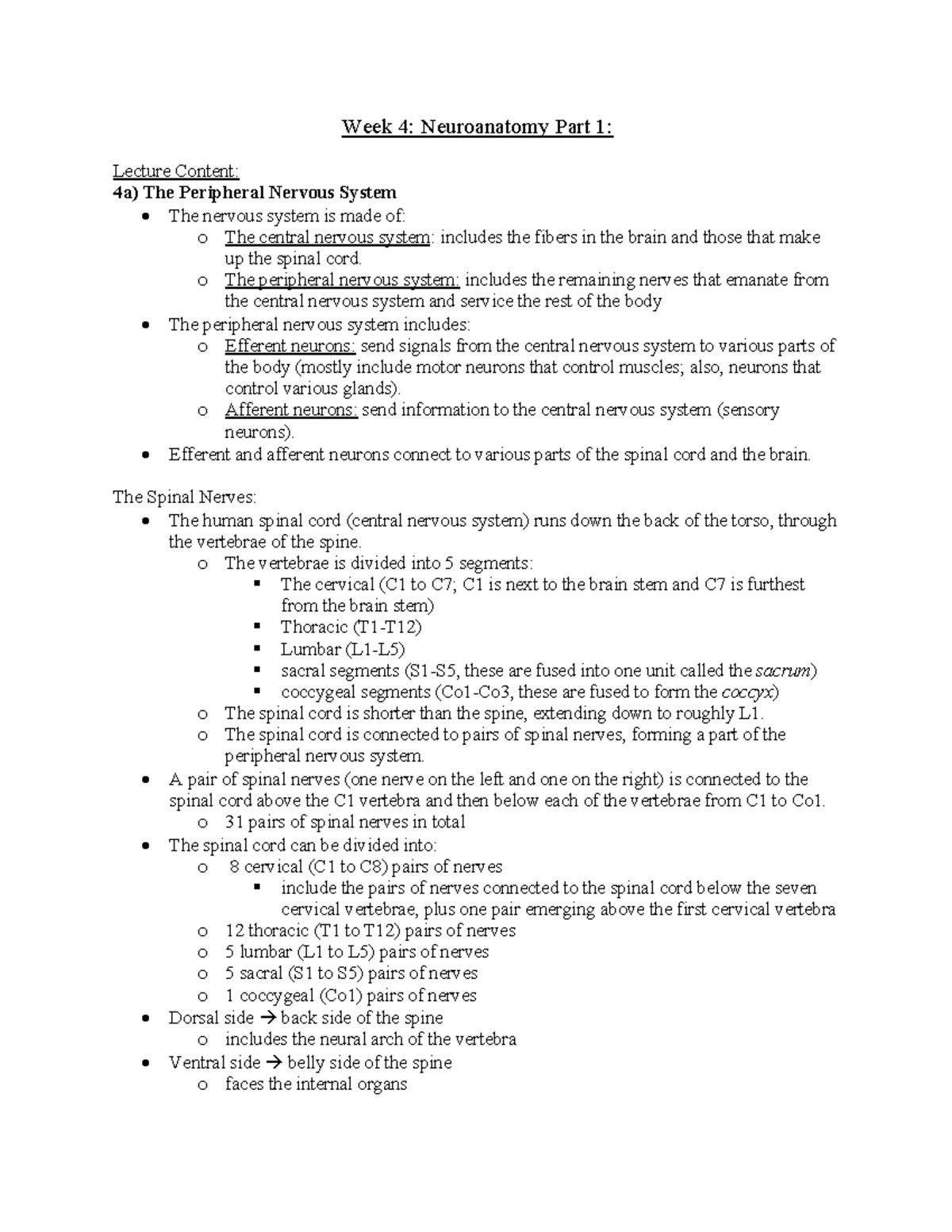 Week 4 notes - Week 4: Neuroanatomy Part 1: Lecture Content: 4a) The ...