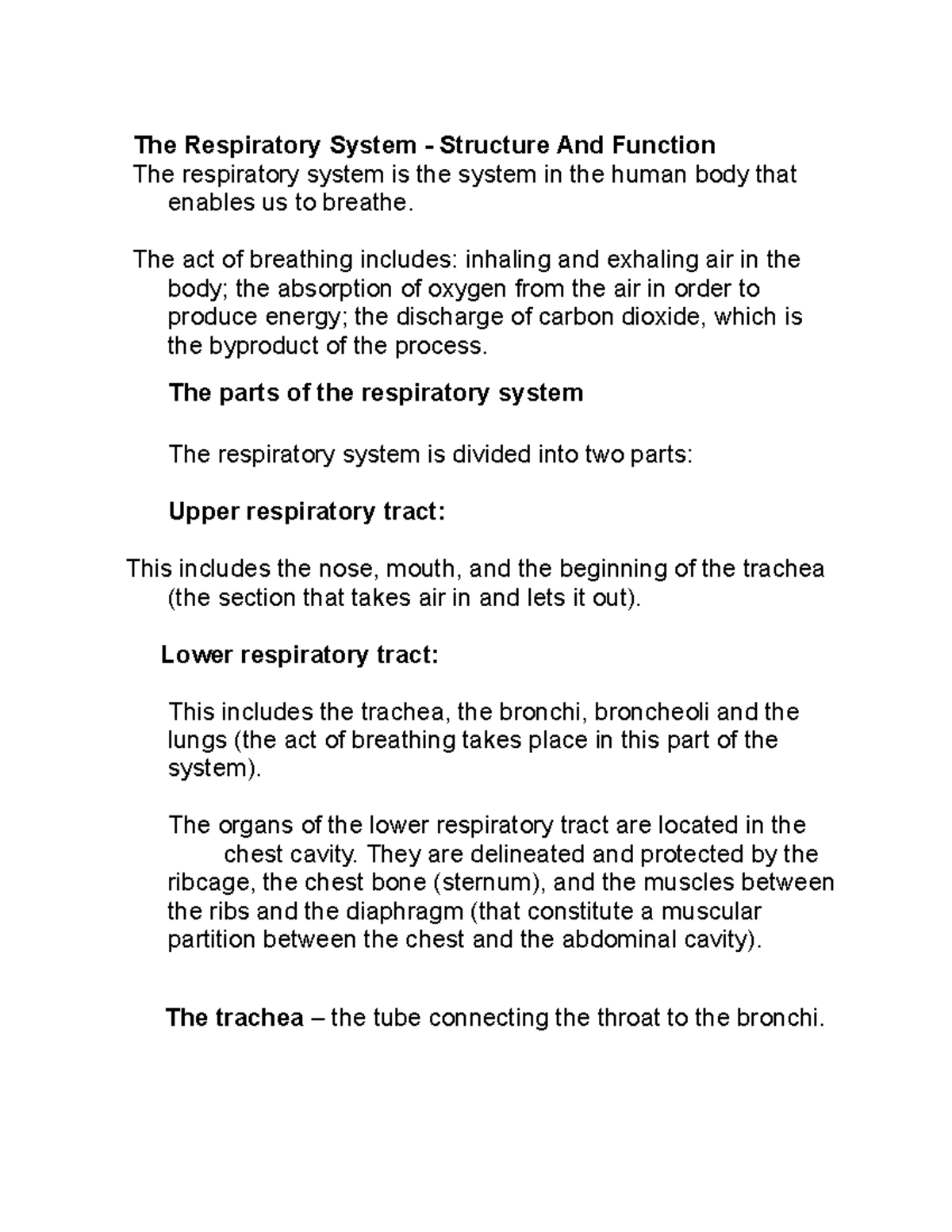 The Respiratory System of the Human Body - The Respiratory System ...