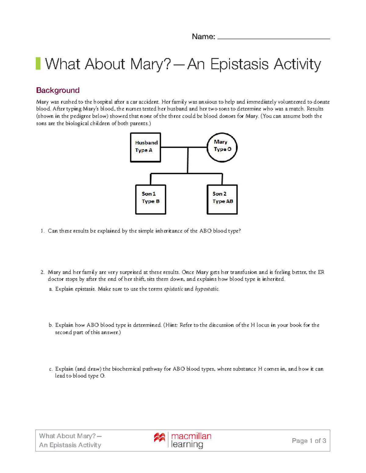 Epistasis Handout - Name: What About Mary?— An Epistasis Activity Page ...