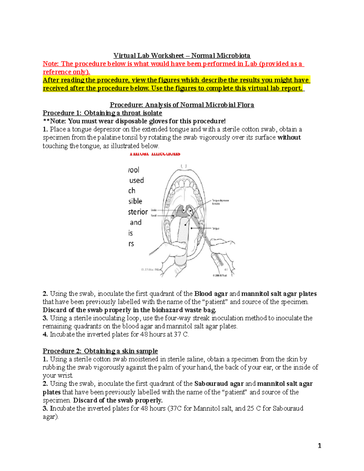 Worksheet 7 Normal Microbiota virtual - Virtual Lab Worksheet – Normal Microbiota Note: The ...