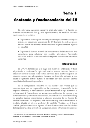 Anatomia quinto modulo - flexuras laterales agudas del recto reflejan ...