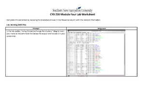 CYB 230 Module Four Lab Worksheet - CYB 230 Module Four Lab Worksheet ...