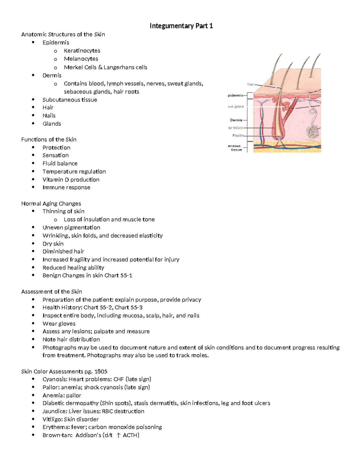Integumentary Part 1 Notes - Integumentary Part 1 Anatomic Structures ...