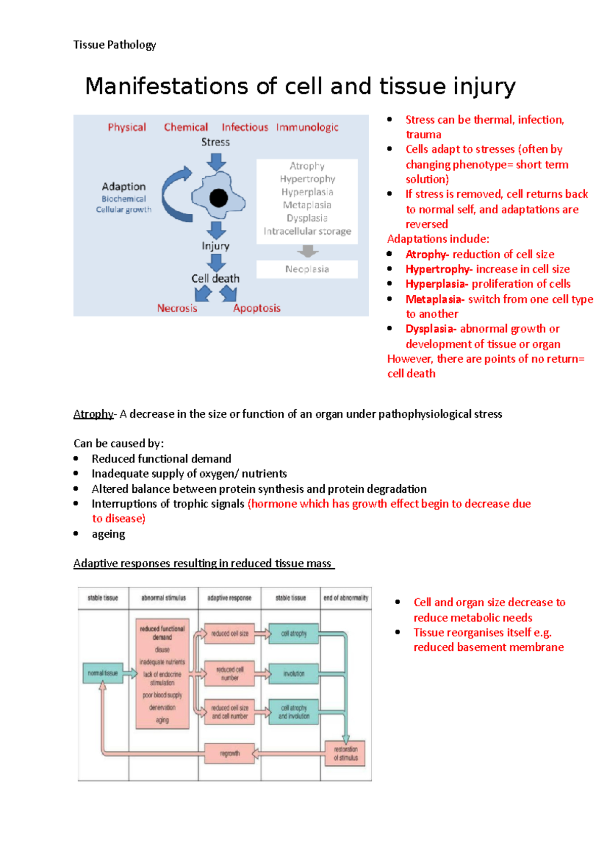 Tissue Pathology-Manifestations of cell and tissue injury ...