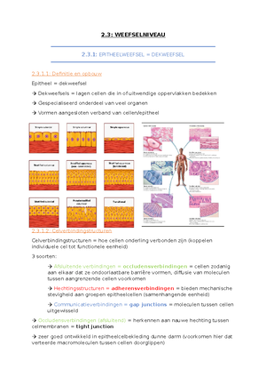 Anatomie samenvatting vlakken - Bewegingen flexie : buigen anteflexie ...