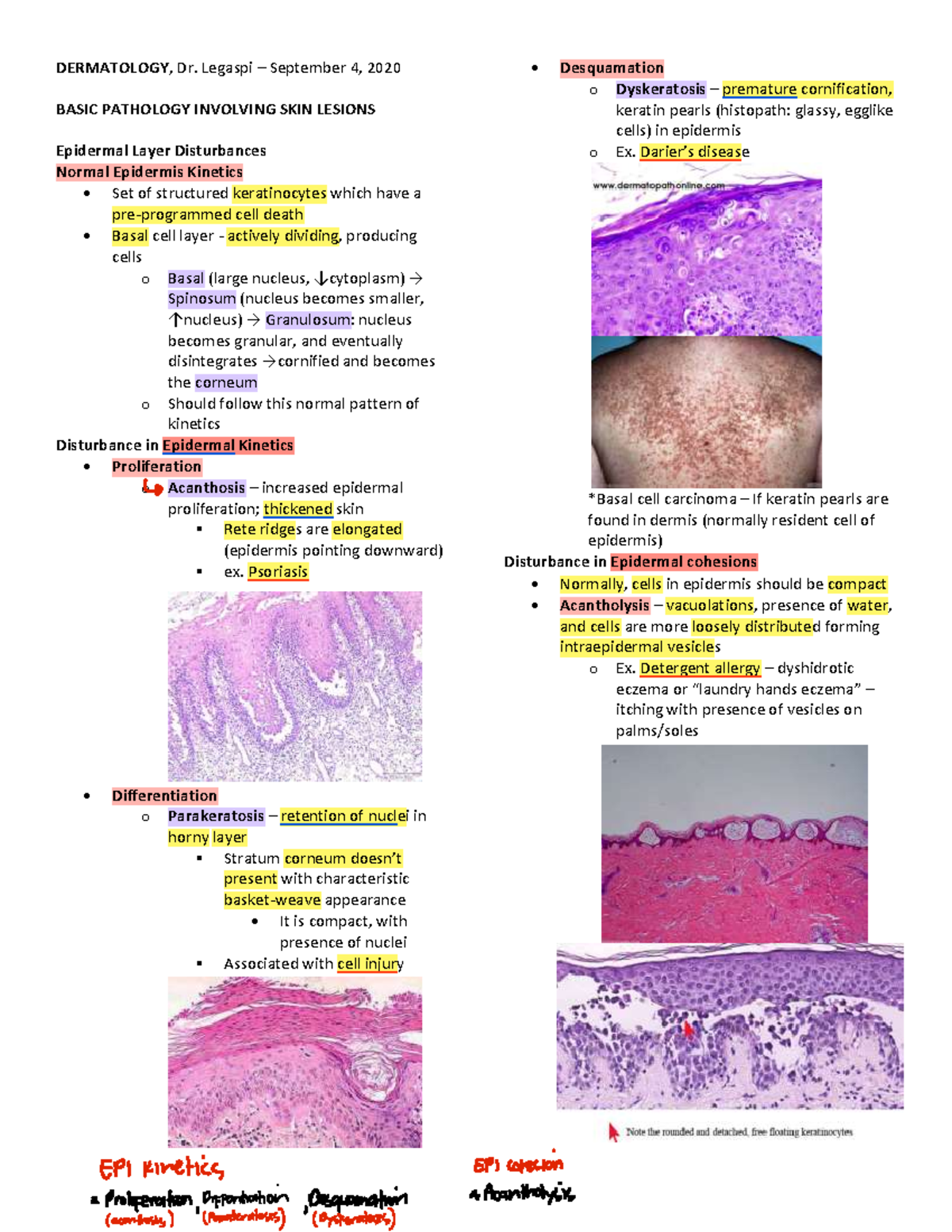 Derma - Basic Reactive Unit Trans - DERMATOLOGY , Dr. Legaspi ...