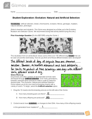 Bio 181 Act I An Unusual Diagnosis Mission Memo - Lab Instructions: Cell Biology Act I Mission ...