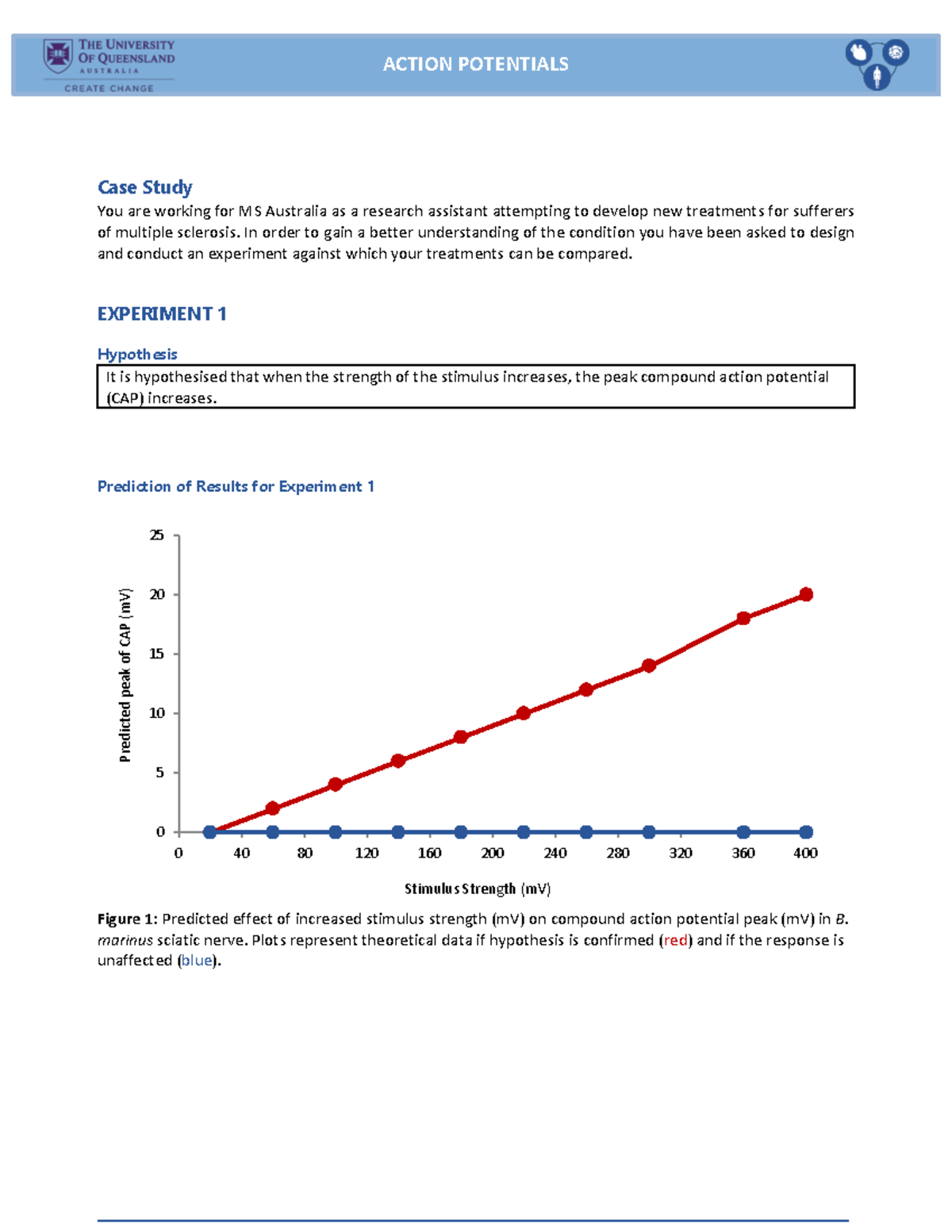 Action potential completed report - Case Study You are working for MS ...