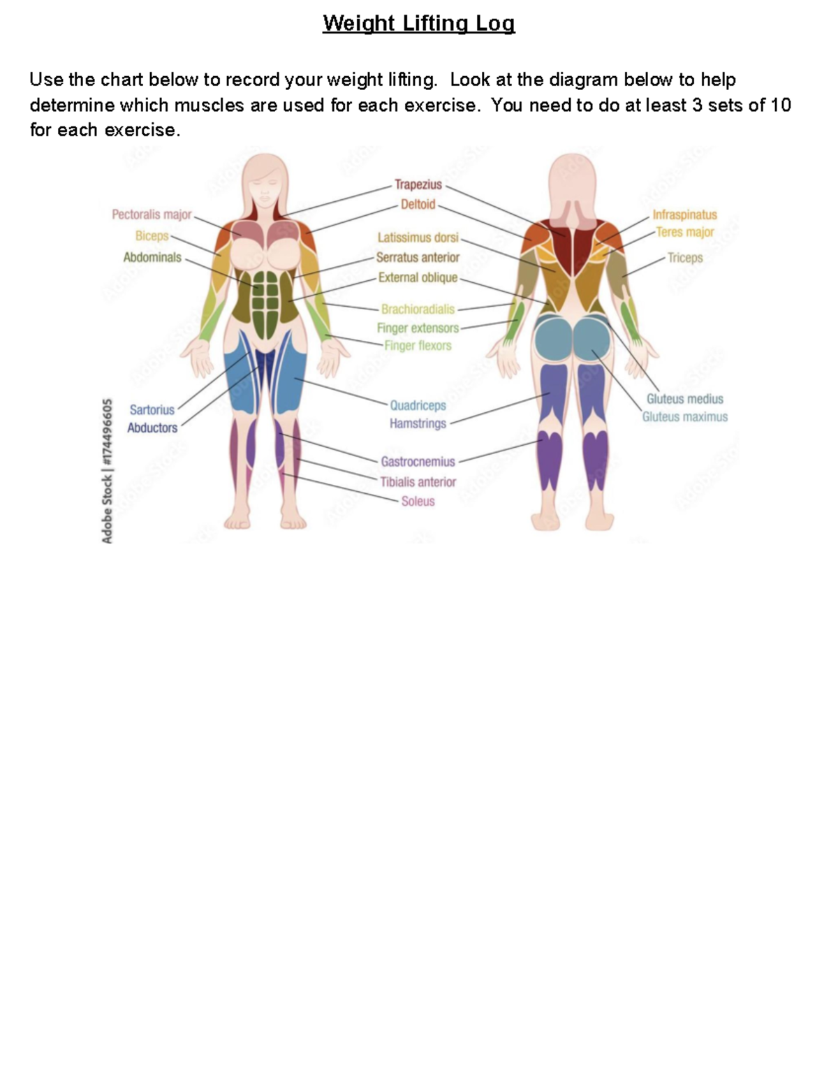Weight Lifting Log - Weight Lifting Log Use the chart below to record ...