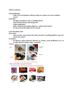 General Guide to Describe and Interpret Gross and Histopathological ...