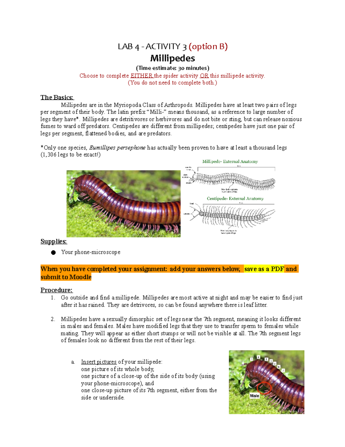 Copy of Lab8 activity 3.2 millipedes - LAB 4 - ACTIVITY 3 (option B ...
