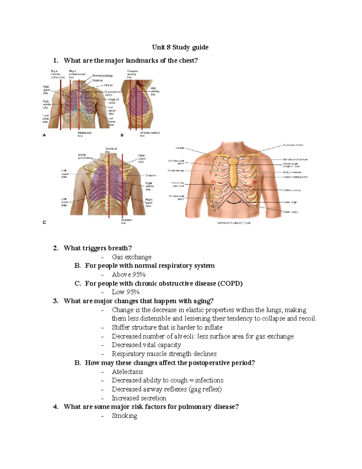 WEEK 8 Study Guide - Unit 8 Study guide What are the major landmarks of ...