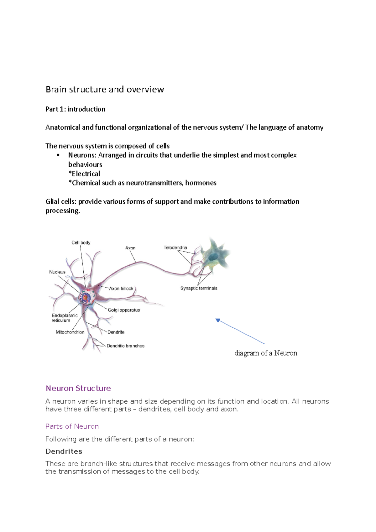 Biological psychology - Brain structure and overview Part 1 ...