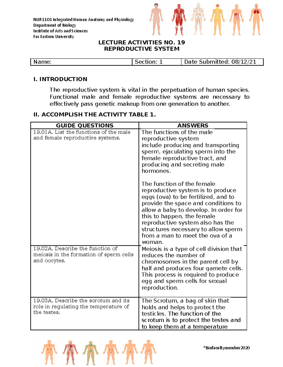 LEC Actvity 19 Reproductive System - Department of Biology Institute of ...