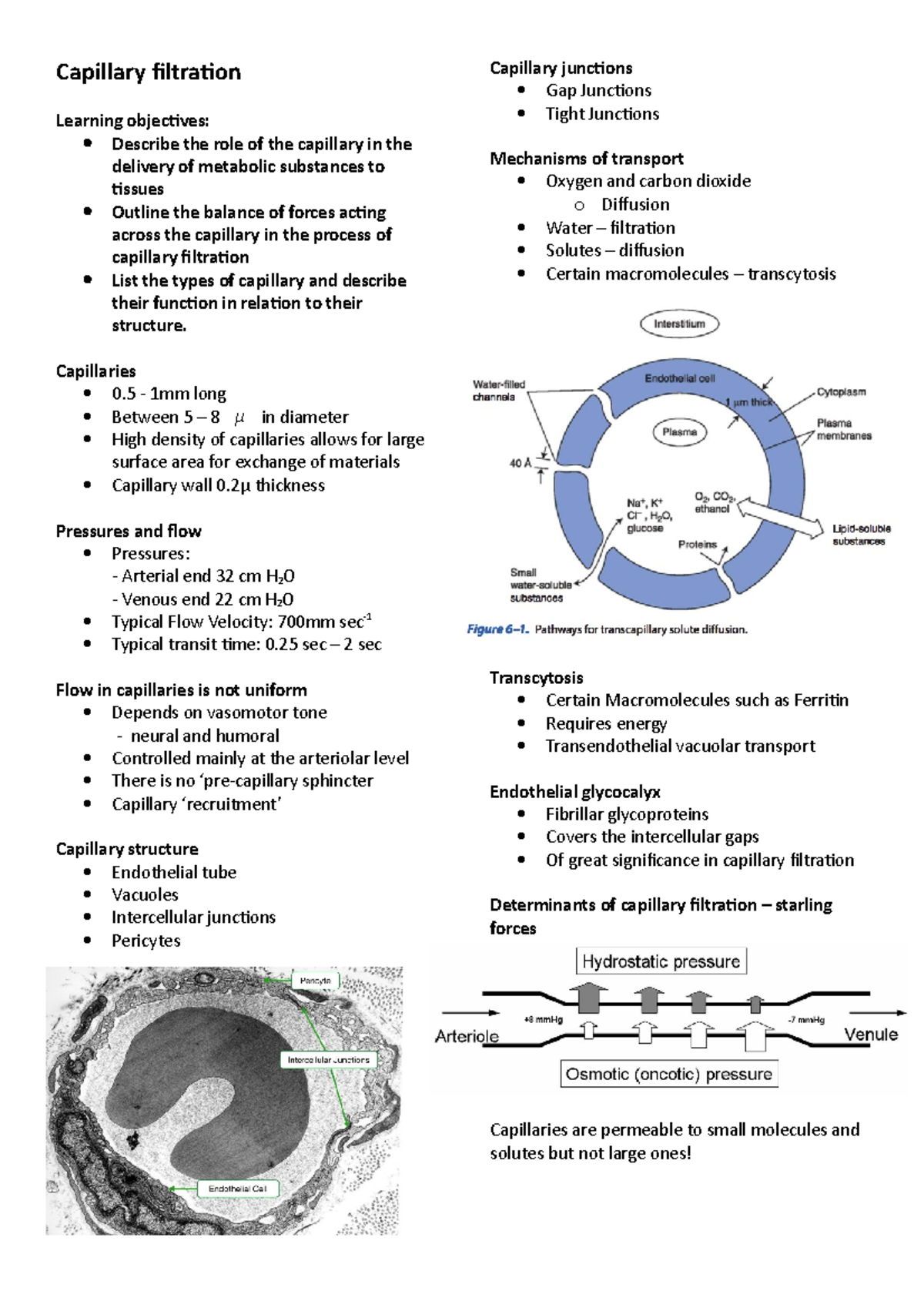 Capillary filtration - Capillary filtration Learning objectives ...