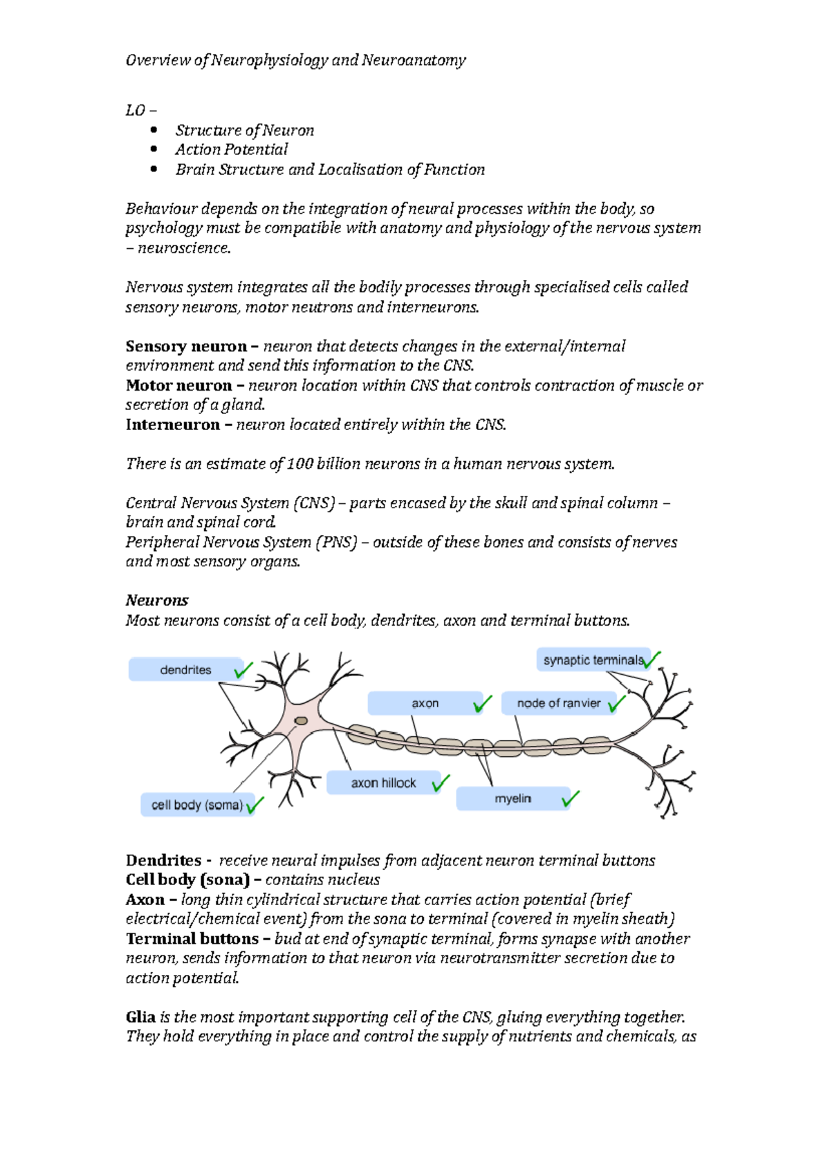 Week 1 - Lecture notes 1 - Overview of Neurophysiology and Neuroanatomy ...