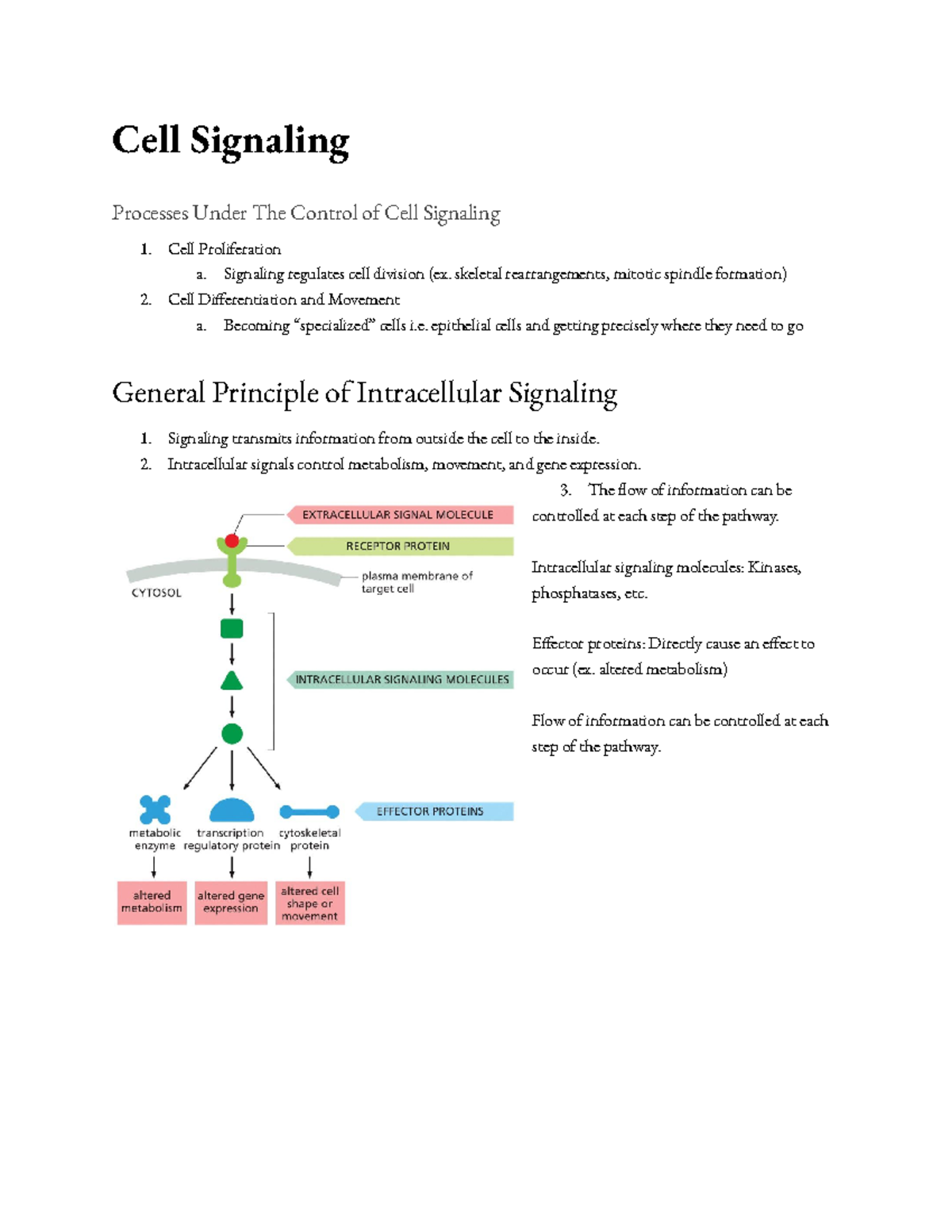 Cell Signaling - Cell Signaling Processes Under The Control of Cell ...