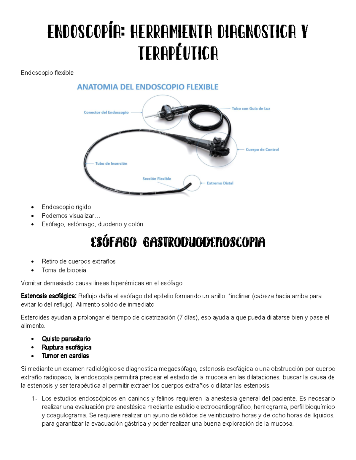 Endoscopía - QQQ - Endoscopía: herramienta diagnostica y terapéutica ...