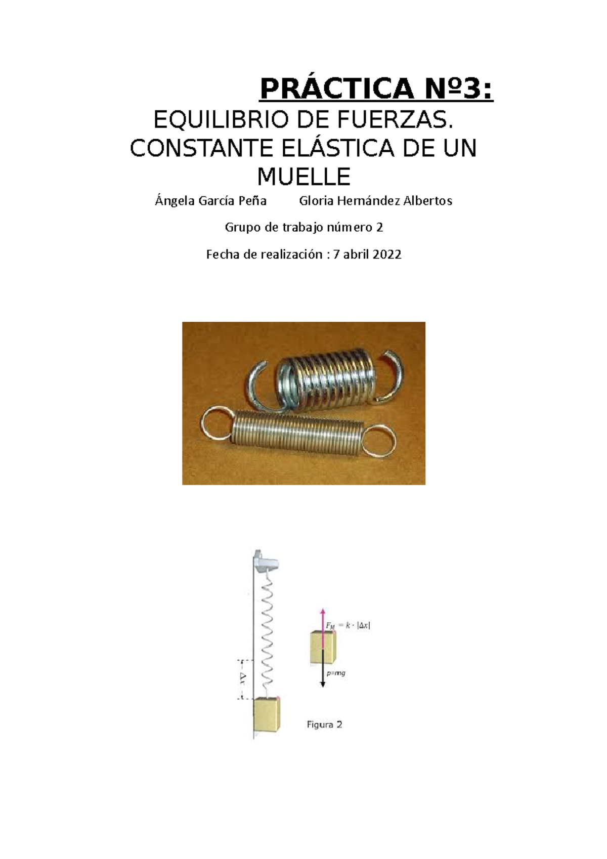 Práctica Nº3 - practica del muelle - PRÁCTICA Nº3: EQUILIBRIO DE ...