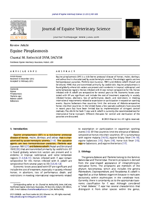 Invertebrates animals that lack a backbone - Porifera ( Sponges ...