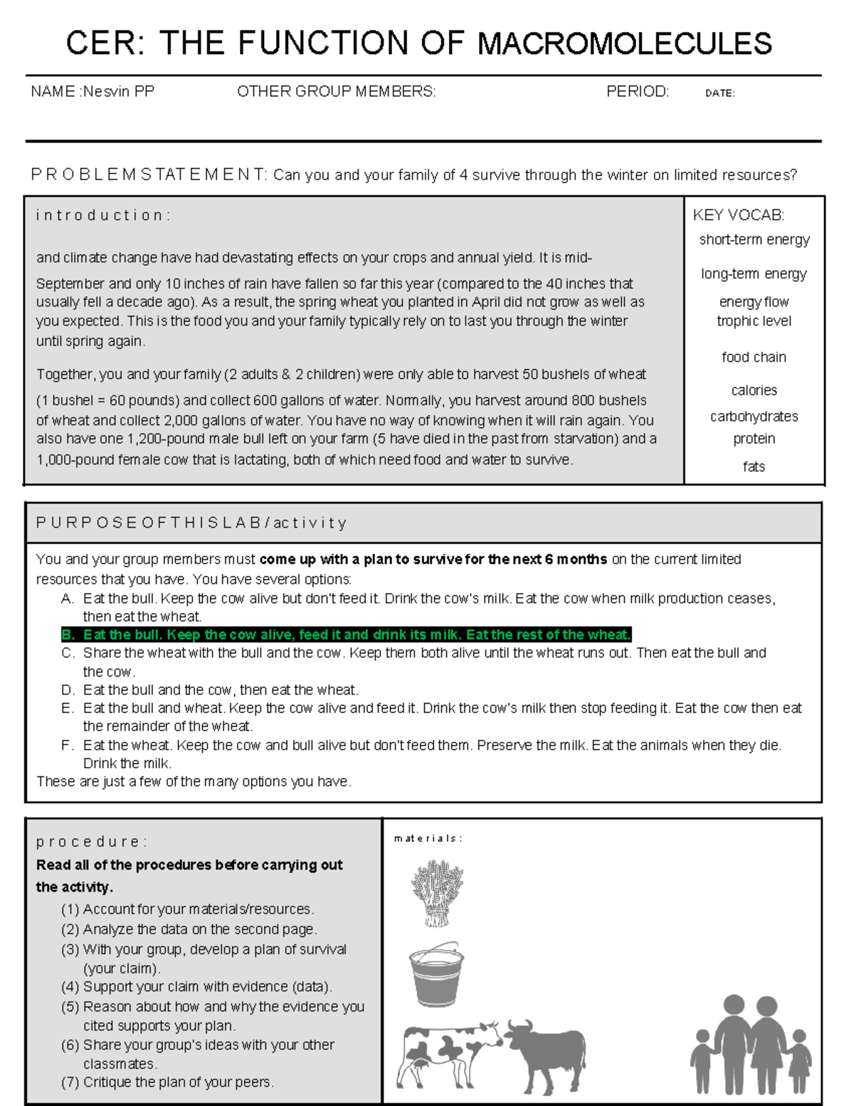 Macromolecules CER - CER: THE FUNCTION OF MACROMOLECULES NAME :Nesvin ...