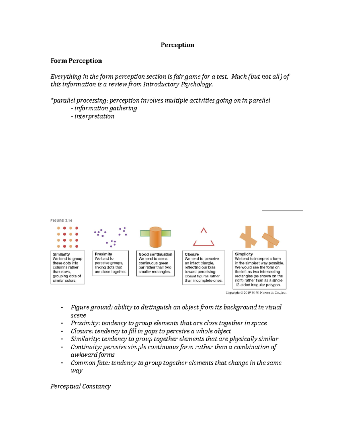 Study Guide Perception copy - Perception Form Perception Everything in ...