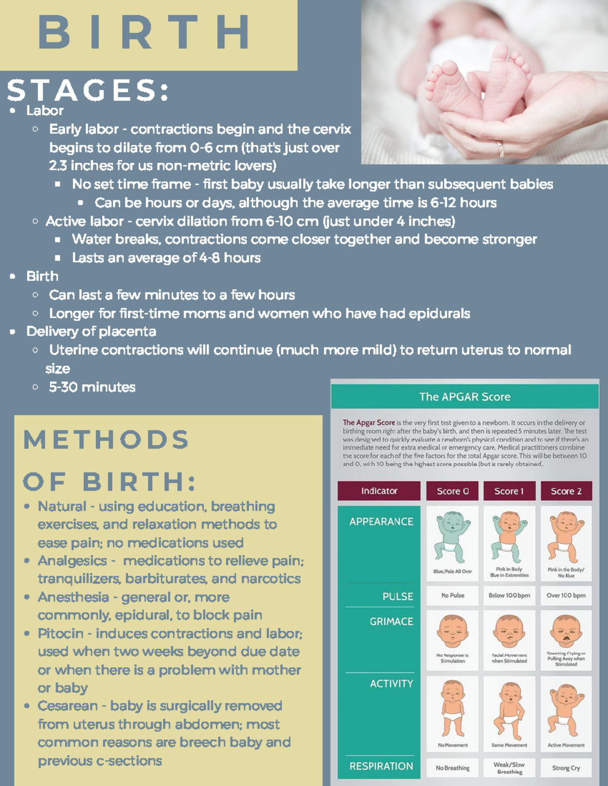 Birth - Lecture notes 3 - B I R T H STAGES: Labor Early labor ...