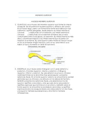 Mono forense tecnicas huellas, queiloscopia y rugoscopía ...