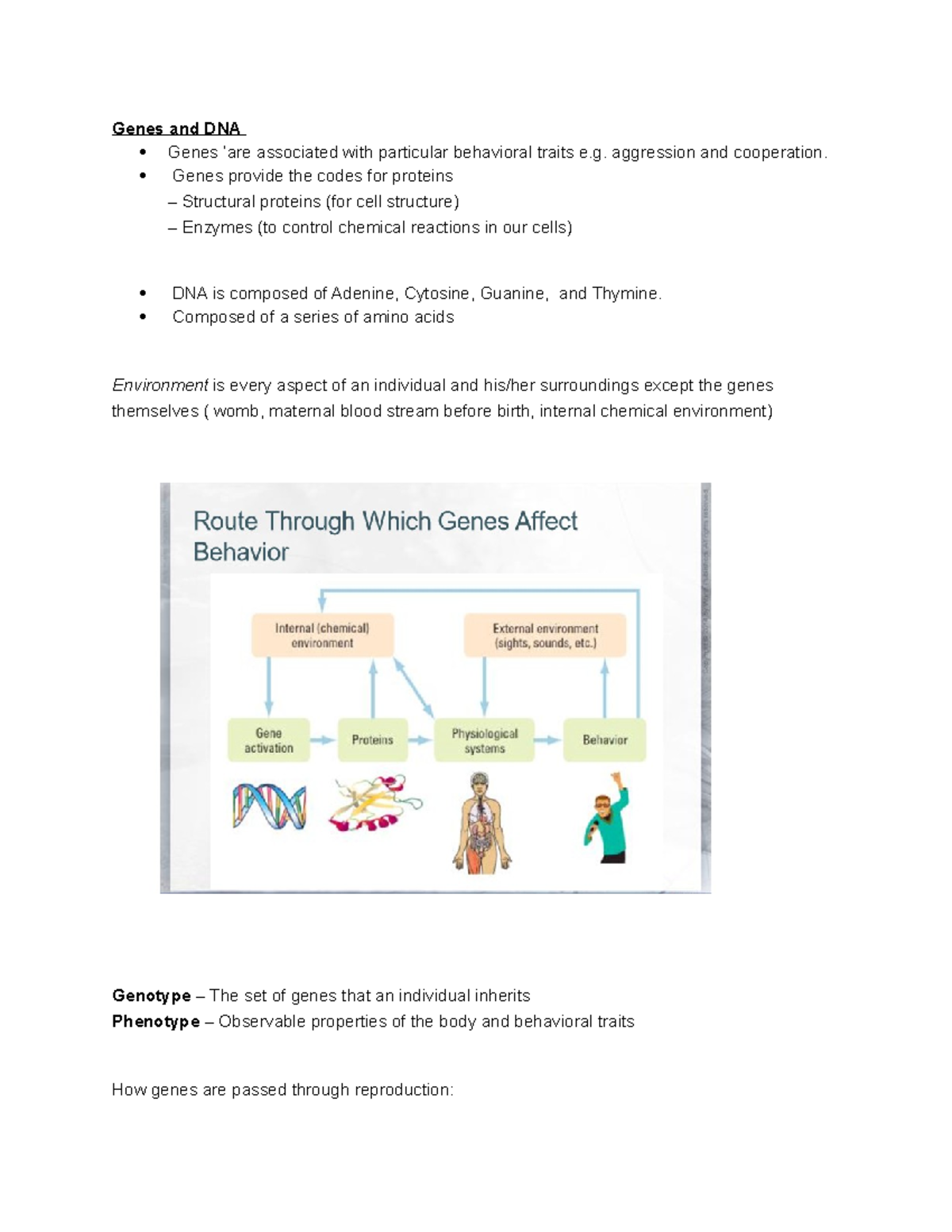 Psych 1100 chapter 3 grey - Genes and DNA Genes ‘are associated with ...