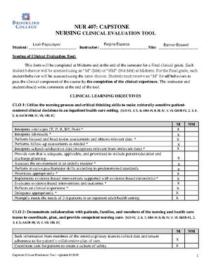 Lead poisoning risk - Coarse work - ACTIVE LEARNING TEMPLATES Basic ...