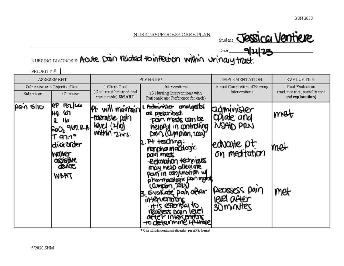 Care plan template - Well - BSN 2020 NURSING PROCESS CARE PLAN Student